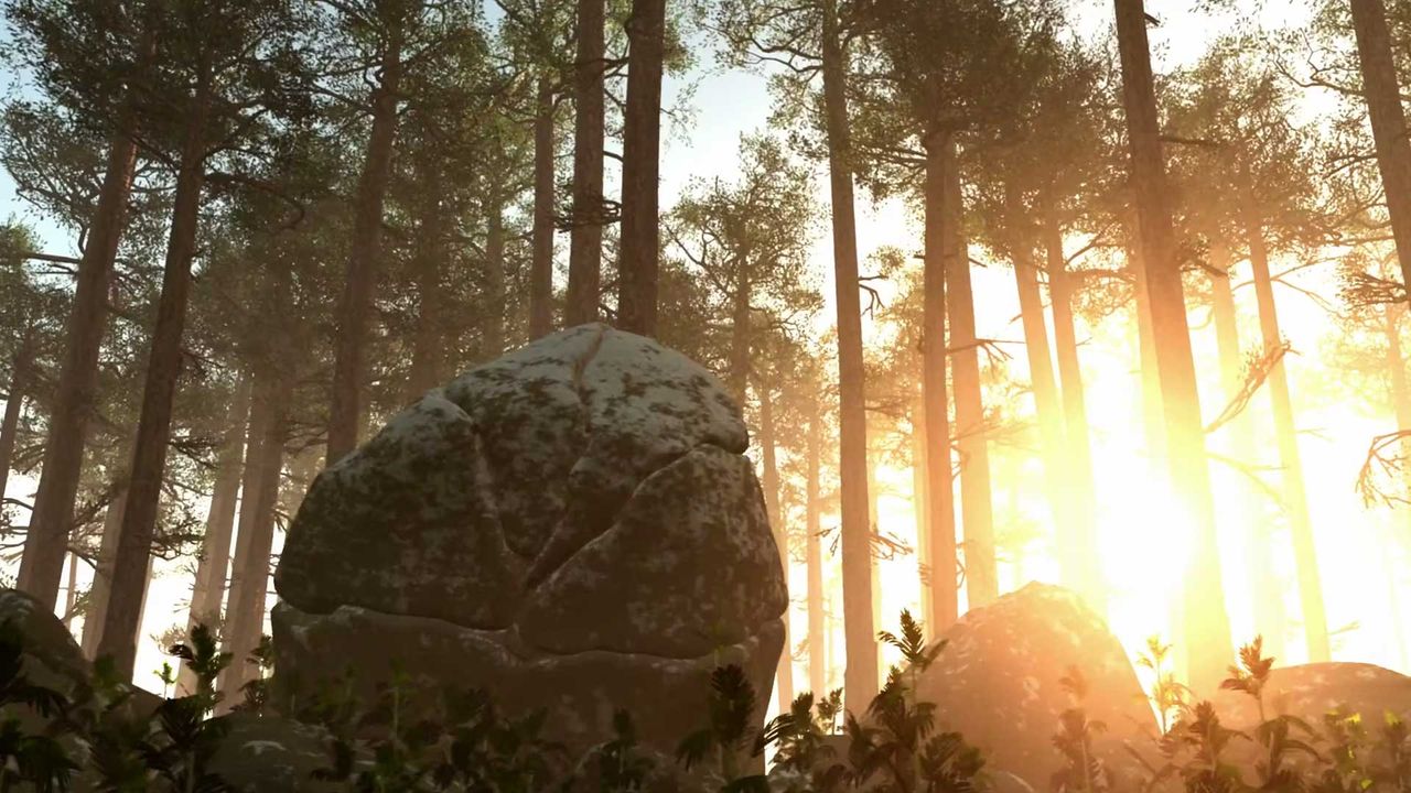 Making the most of a captive | Captive International